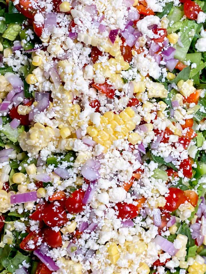 People and Pups Gotta Eat | Yappy Kitchen